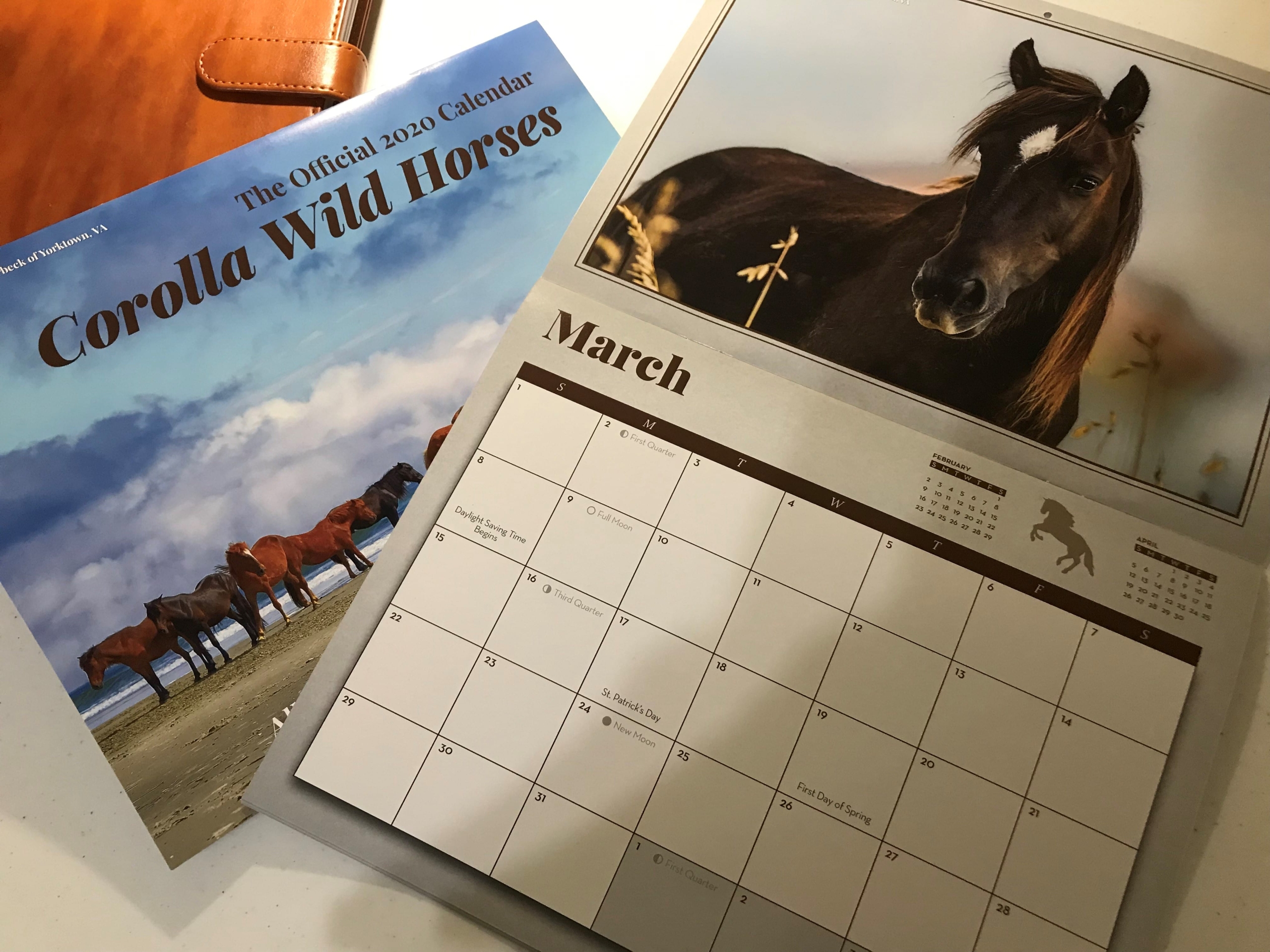 2020 Calendar 1 - Corolla Wild Horse Fund