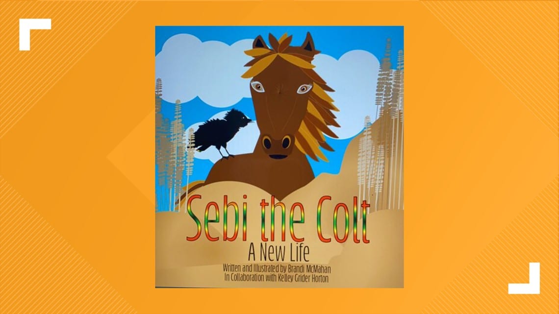 Sebi the Colt - Corolla Wild Horse Fund