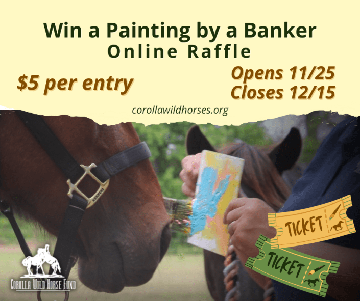Online Raffle FB Post - Corolla Wild Horse Fund
