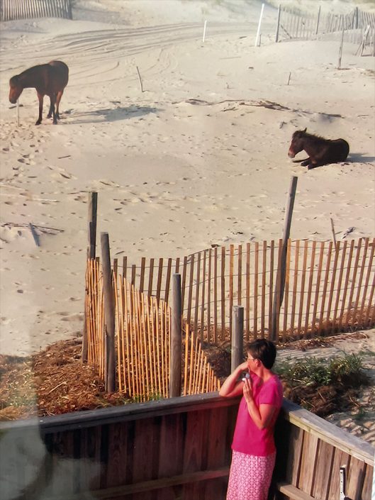 Remembering Raymond Memorial Wall | Corolla Wild Horses | Corolla Wild ...